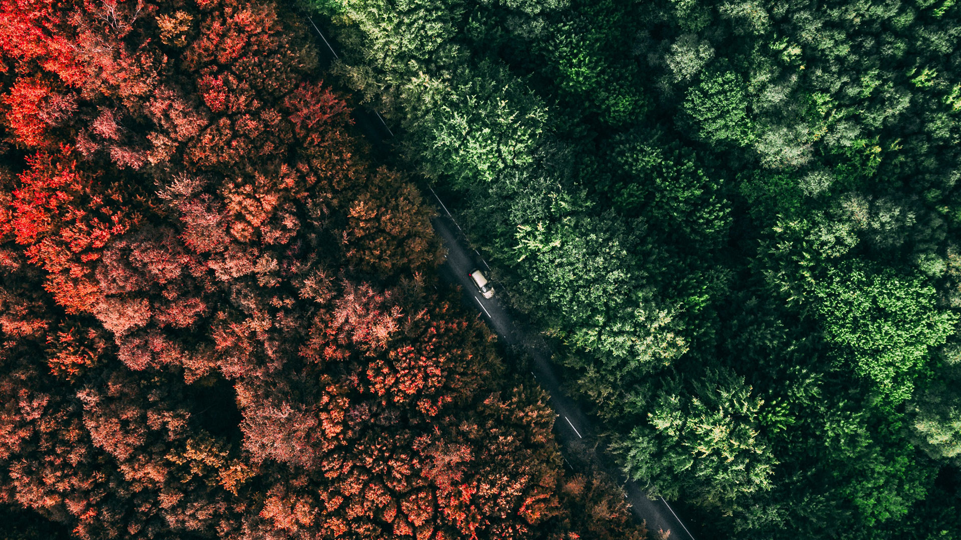 Welcome to YCOM website - YCOM | Advanced Technology